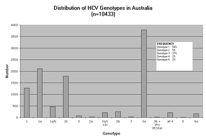 Hepatitis Virus Characterisation | VIDRL