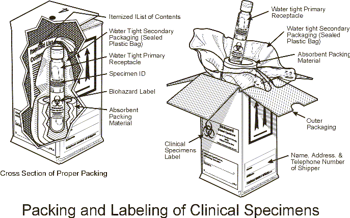 Urgent Testing | VIDRL