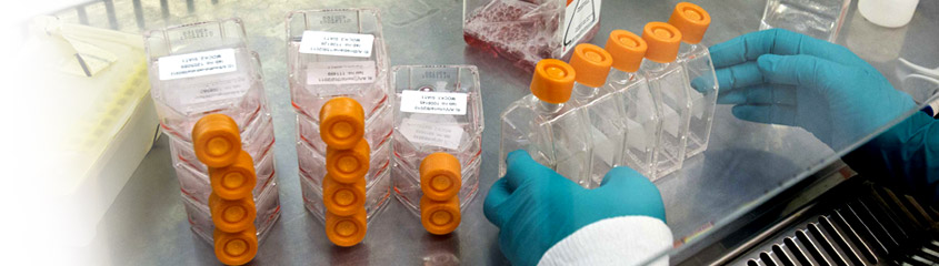 Victorian Infectious Diseases Reference Laboratory