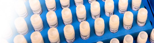 Victorian Infectious Diseases Reference Laboratory